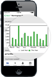 Online Accounting - Accounting Systems | Accounting Online